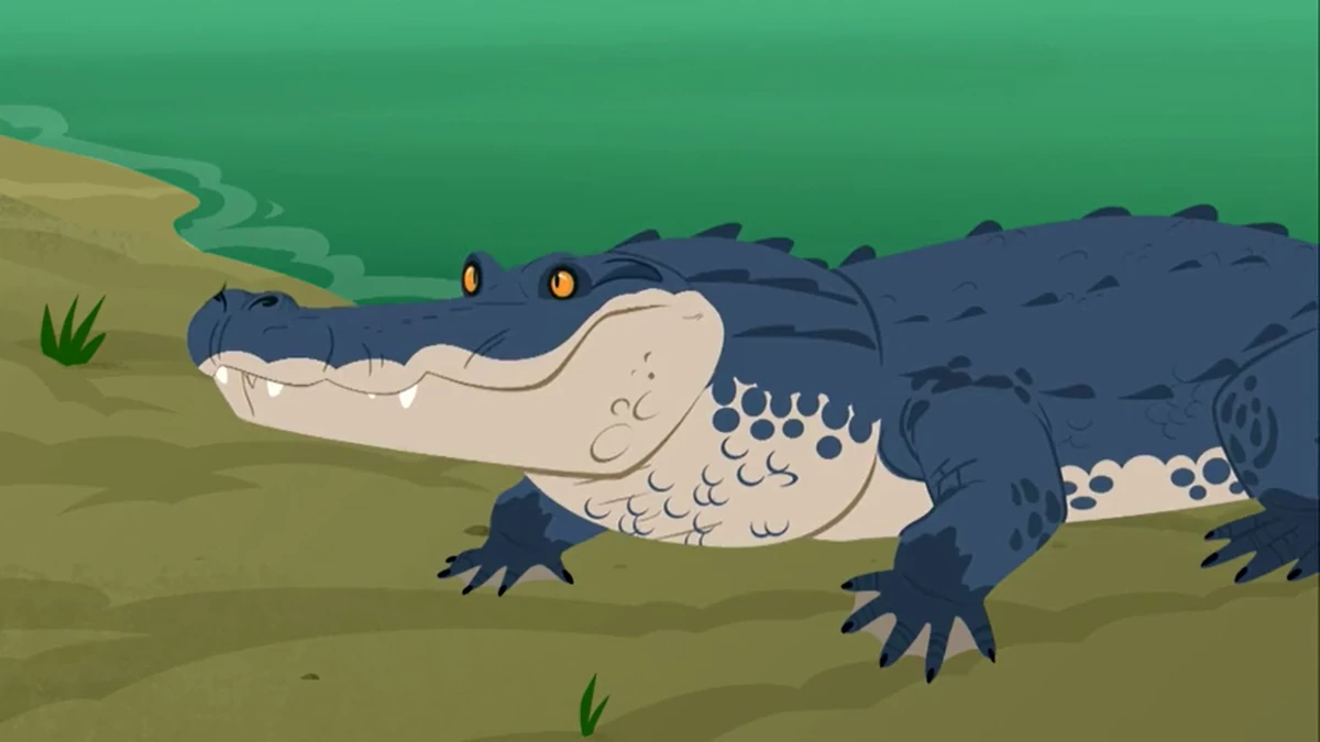 Scary Creatures Crocodiles and Alligators | NatureRules1 Wiki | Fandom