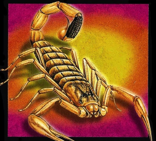 Deathstalker | NatureRules1 Wiki | Fandom