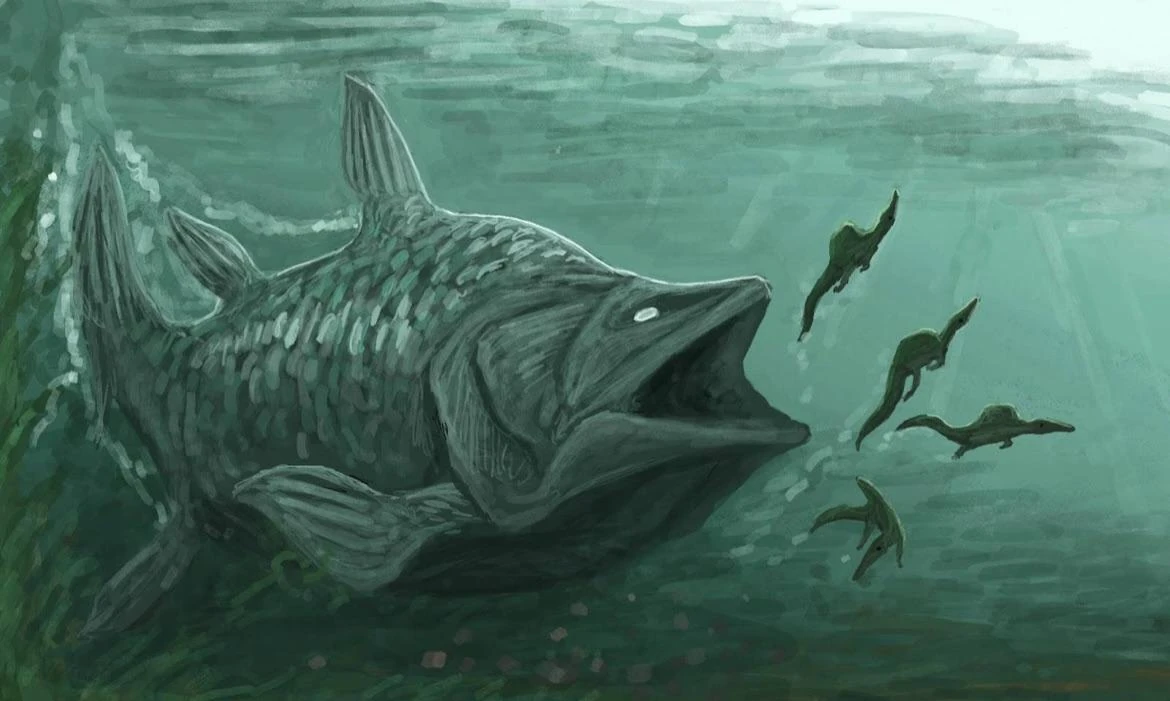 Mawsonia | NatureRules1 Wiki | Fandom