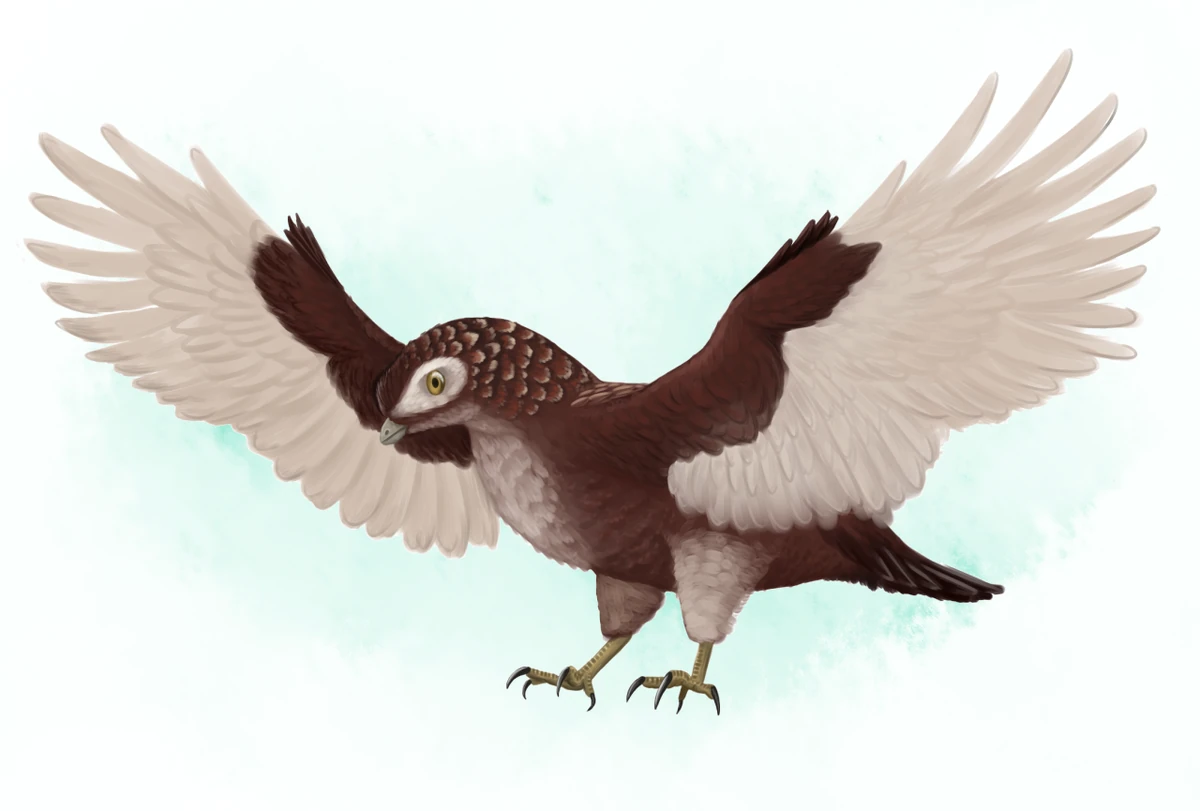 Avisaurus | NatureRules1 Wiki | Fandom