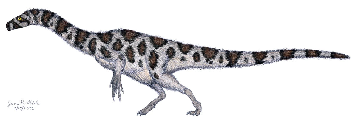 Falcarius | NatureRules1 Wiki | Fandom
