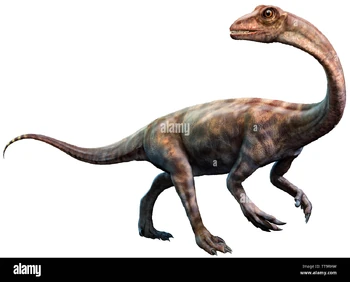 Anchisaurus | NatureRules1 Wiki | Fandom