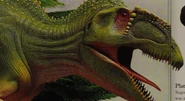 Giganotosaurus | NatureRules1 Wiki | Fandom