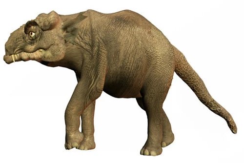 Chipekwe | NatureRules1 Wiki | Fandom