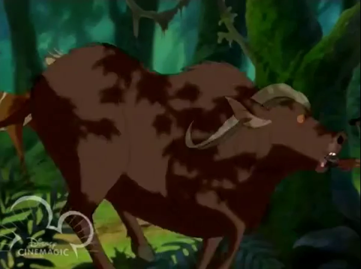 African Buffalo/TV Shows | NatureRules1 Wiki | Fandom