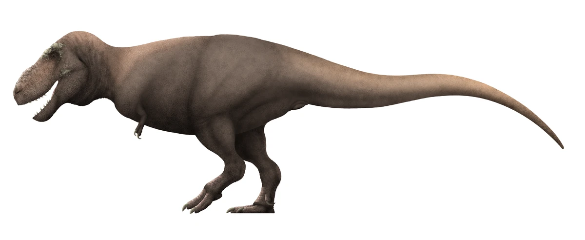 Tarbosaurus | NatureRules1 Wiki | Fandom