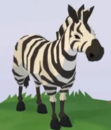 Plains Zebra | NatureRules1 Wiki | Fandom
