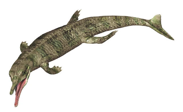 Metriorhynchus | NatureRules1 Wiki | Fandom