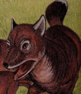 Warrah | NatureRules1 Wiki | Fandom