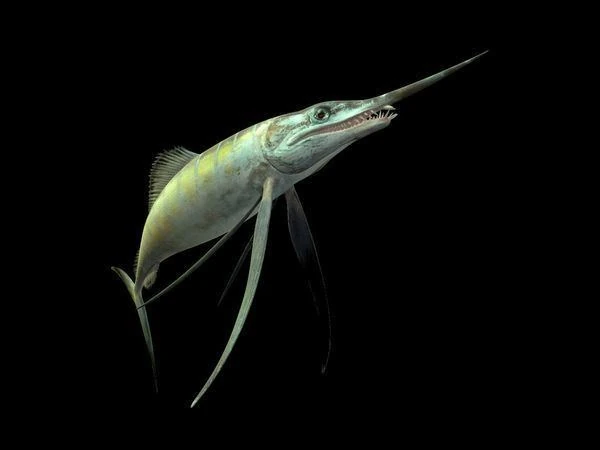 Protosphyraena | NatureRules1 Wiki | Fandom