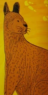 Procoptodon | NatureRules1 Wiki | Fandom