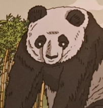 Giant Panda Adventure | NatureRules1 Wiki | Fandom