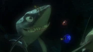 List of Species in Finding Nemo | NatureRules1 Wiki | Fandom