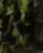 Chupacabra | NatureRules1 Wiki | Fandom