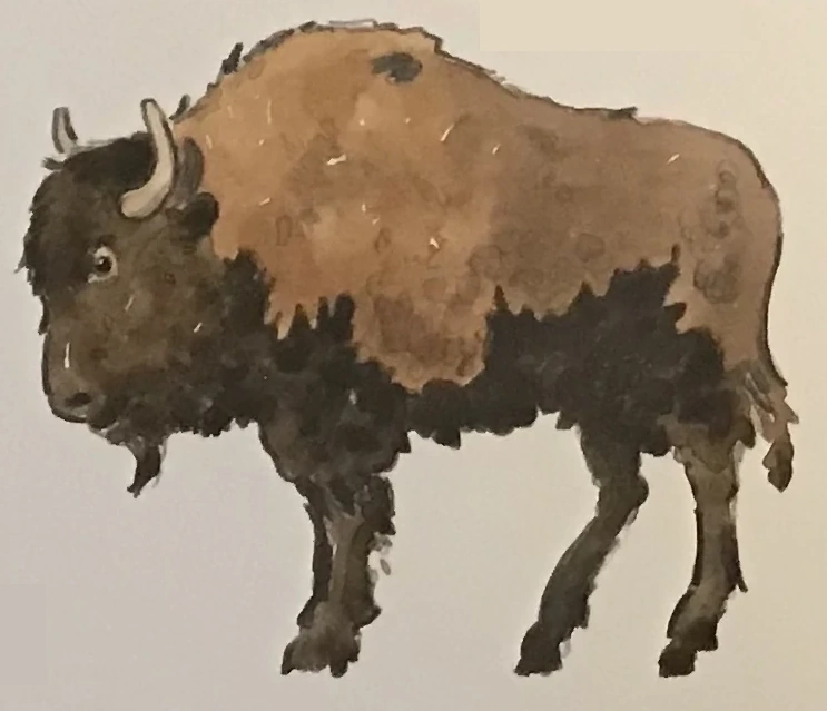 American Bison/Books | NatureRules1 Wiki | Fandom