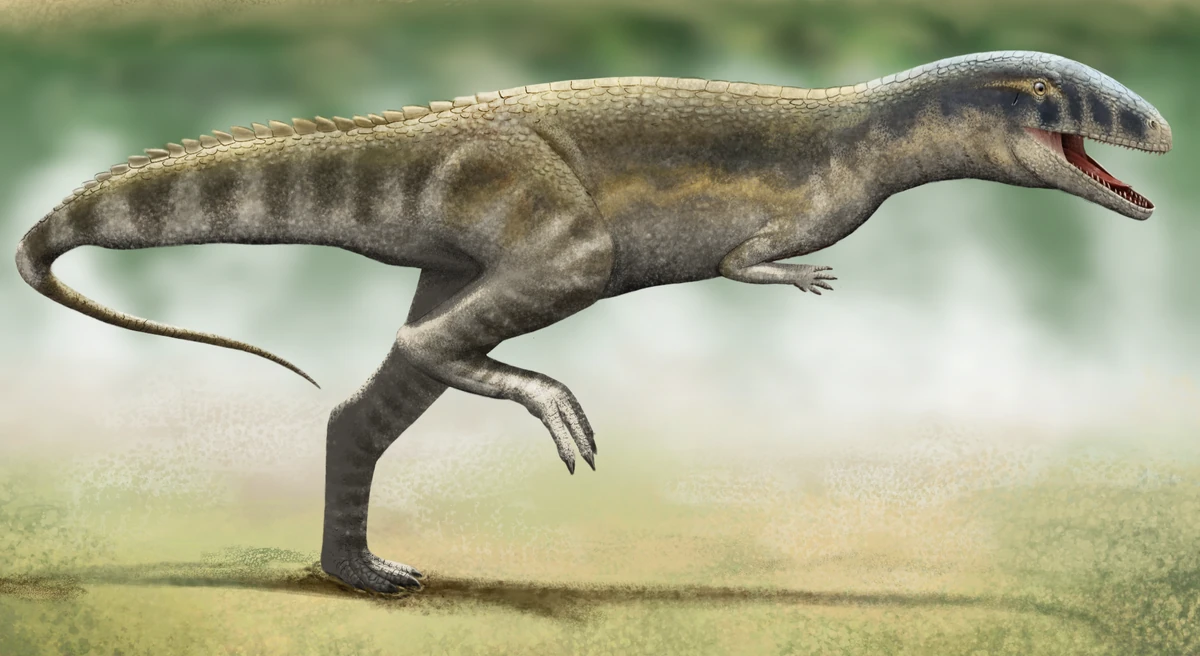 Poposaurus | NatureRules1 Wiki | Fandom