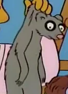 Indian Grey Mongoose | NatureRules1 Wiki | Fandom