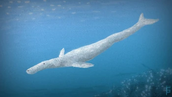 Corfu Island Creature | NatureRules1 Wiki | Fandom