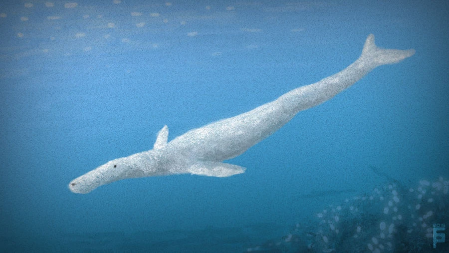 Corfu Island Creature | NatureRules1 Wiki | Fandom