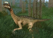 List of Species in dink the little dinosaur | NatureRules1 Wiki | Fandom