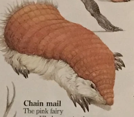 Living Color | NatureRules1 Wiki | Fandom