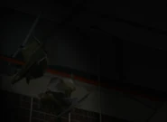 Little Brown Bat | NatureRules1 Wiki | Fandom