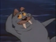 Walrus | NatureRules1 Wiki | Fandom