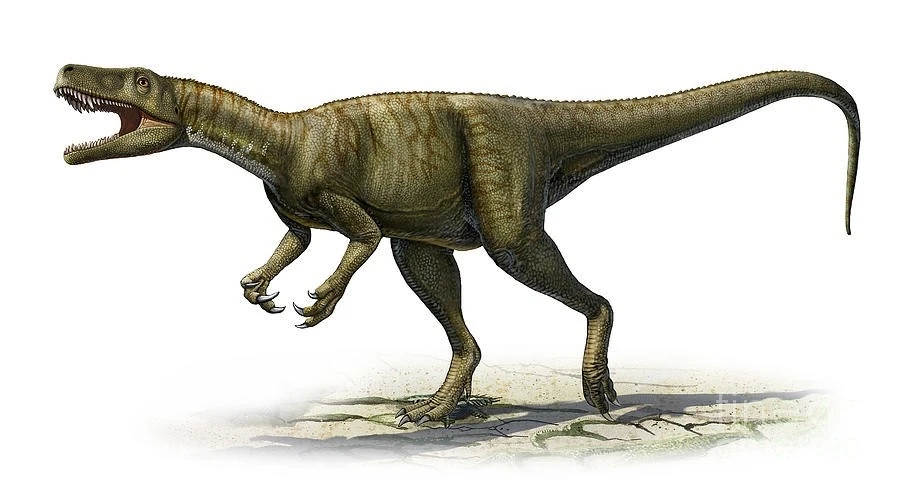 Herrerasaurus | NatureRules1 Wiki | Fandom