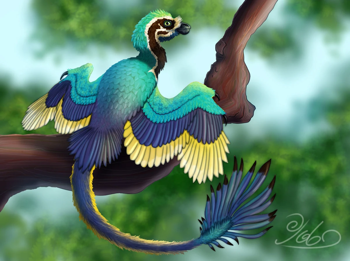 Jeholornis | NatureRules1 Wiki | Fandom