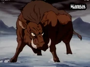 Erymanthian Boar | NatureRules1 Wiki | Fandom