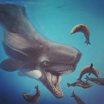 Livyatan | NatureRules1 Wiki | Fandom