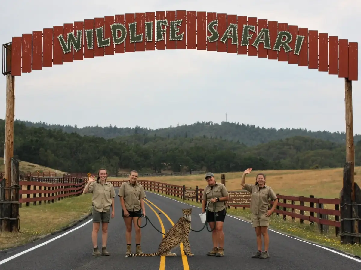 Wildlife Safari | NatureRules1 Wiki | Fandom