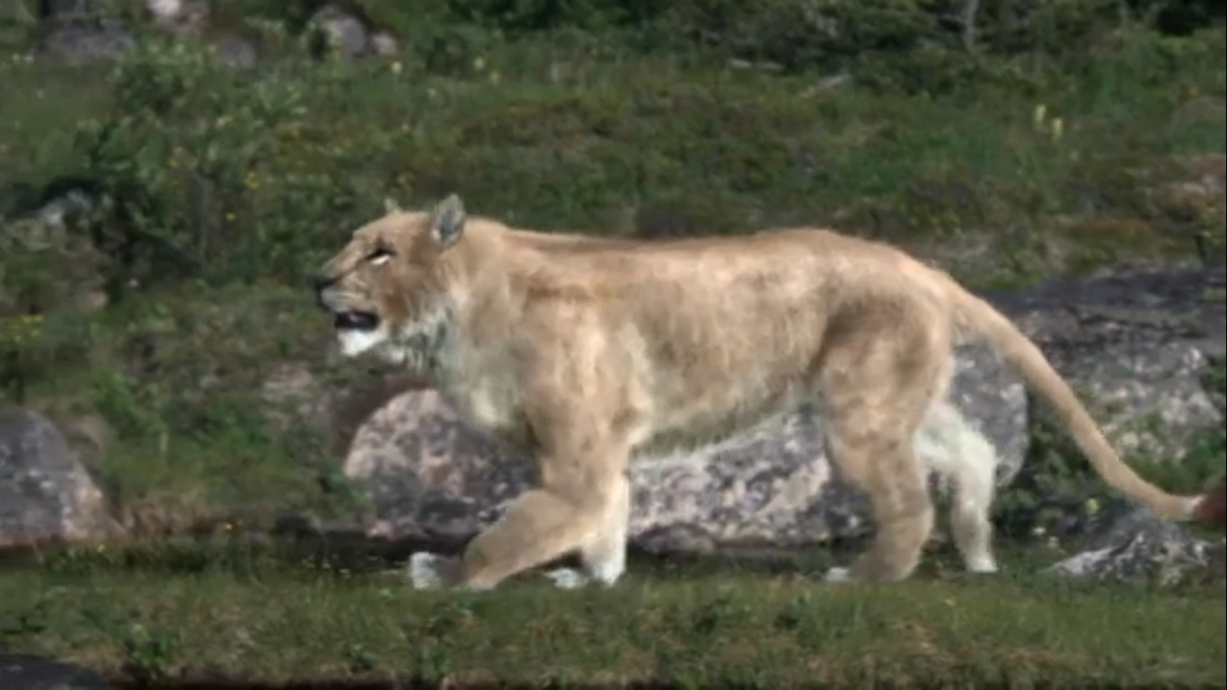 Cave Lion Ice Age