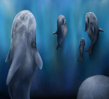 High-Finned Sperm Whale | NatureRules1 Wiki | Fandom