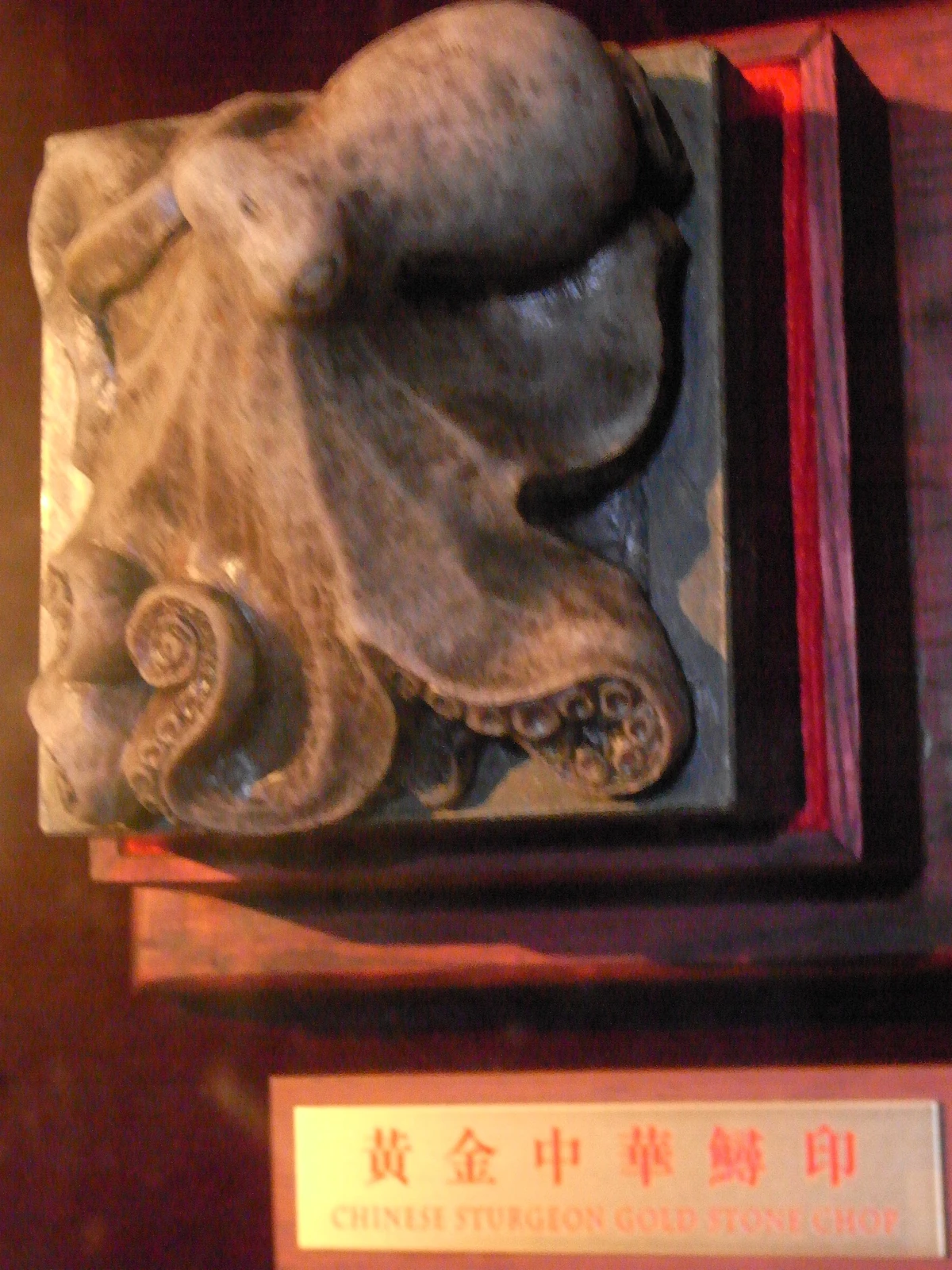 Oil Pit Squid | NatureRules1 Wiki | Fandom