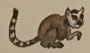 Ring-tailed Lemur/Books | NatureRules1 Wiki | Fandom