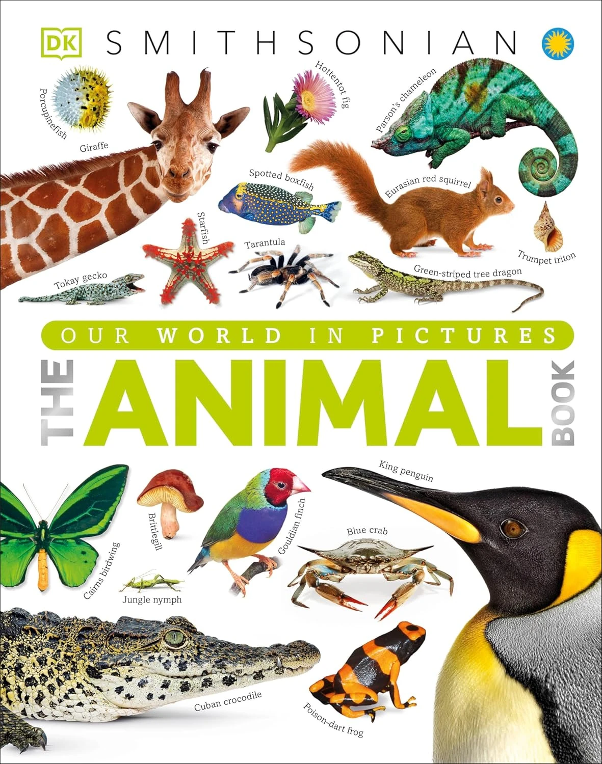 DK The Animal Book | NatureRules1 Wiki | Fandom