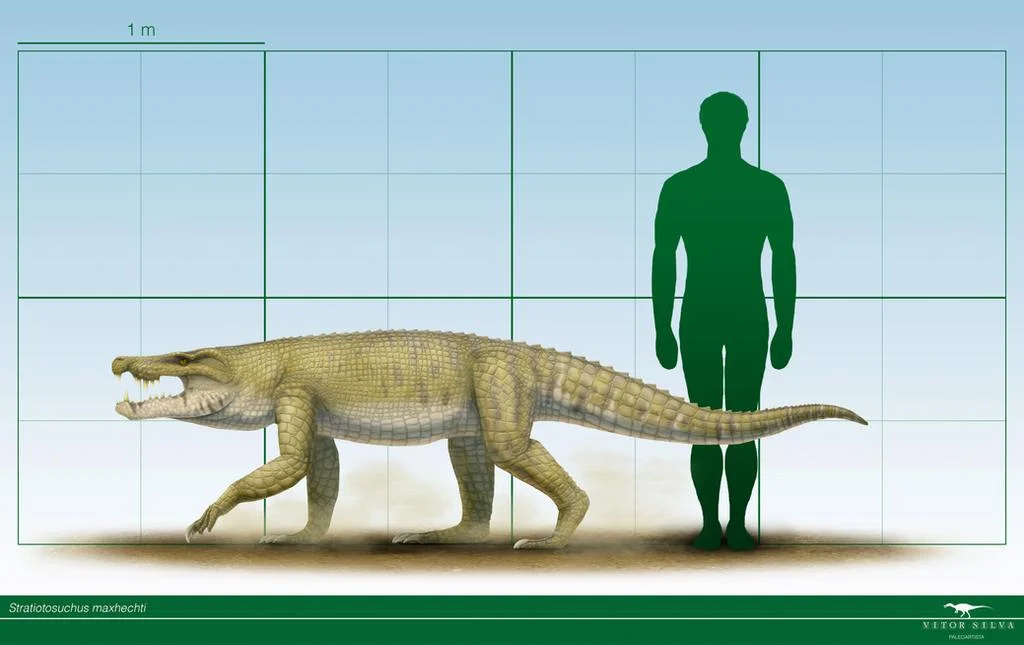 Stratiotosuchus | NatureRules1 Wiki | Fandom