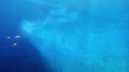 List of Species in Finding Nemo | NatureRules1 Wiki | Fandom