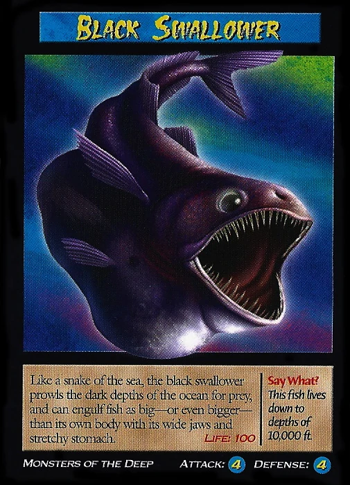 Swallower Fish