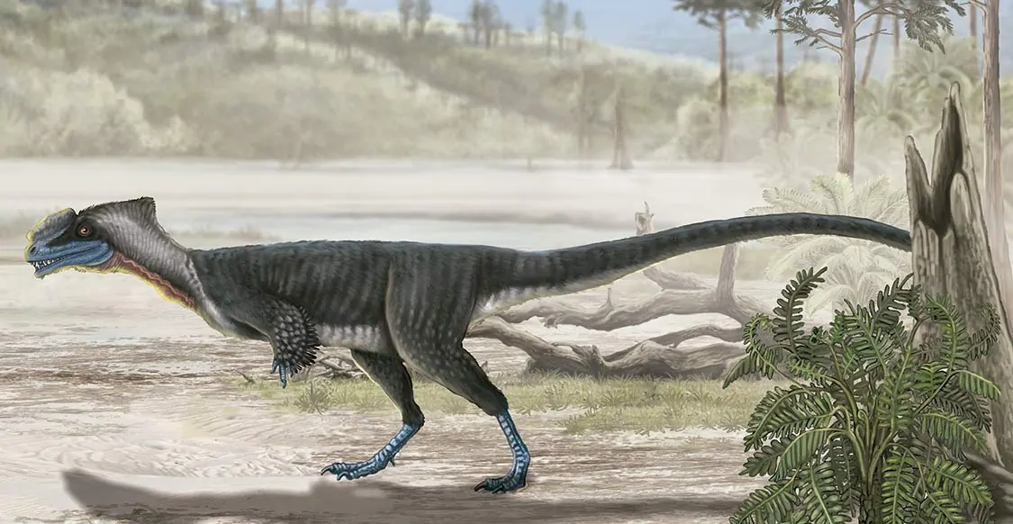 Proceratosaurus | NatureRules1 Wiki | Fandom