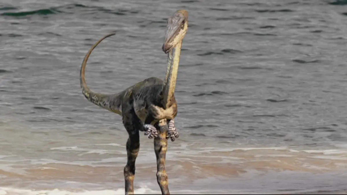 Silesaurus | NatureRules1 Wiki | Fandom