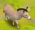 African Wild Ass | NatureRules1 Wiki | Fandom
