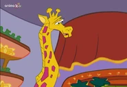 Reticulated Giraffe | NatureRules1 Wiki | Fandom