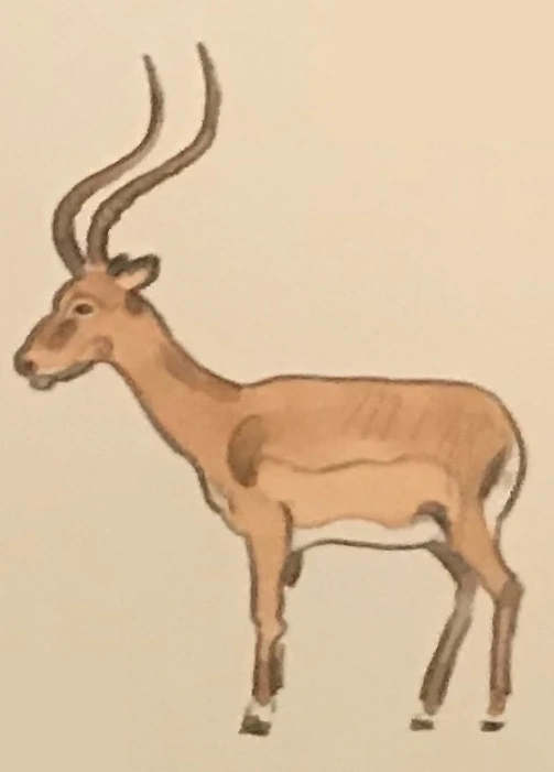 Impala/Books | NatureRules1 Wiki | Fandom