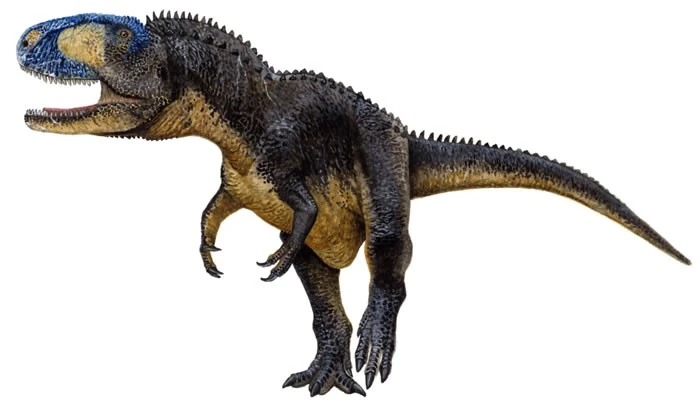 Rugops | NatureRules1 Wiki | Fandom