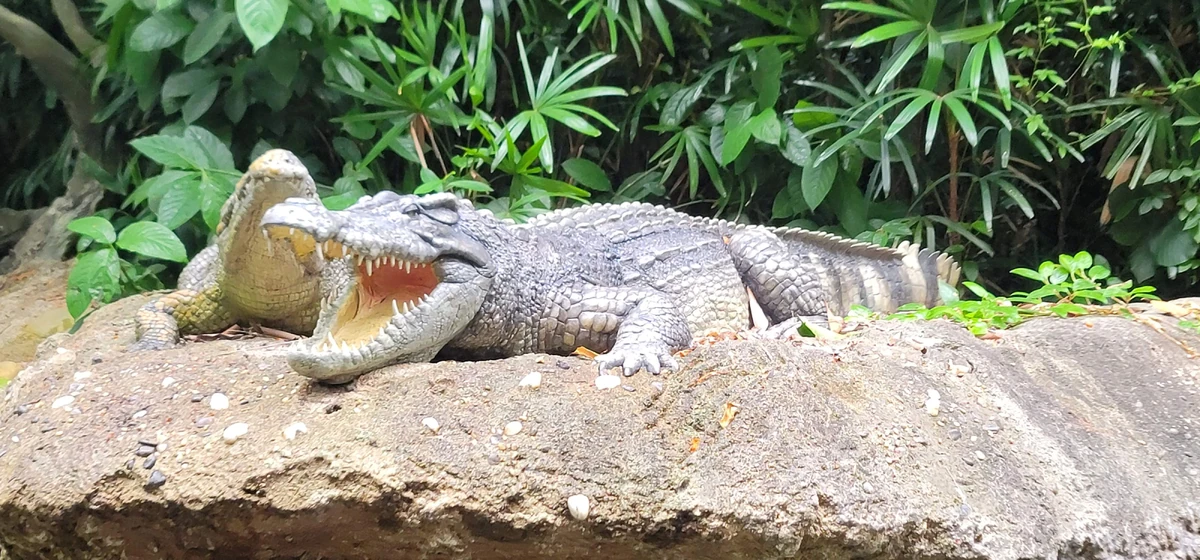 Carter Sharer's Pond Monster | NatureRules1 Wiki | Fandom