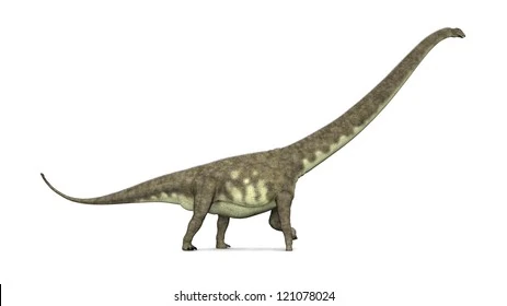 Mamenchisaurus | NatureRules1 Wiki | Fandom