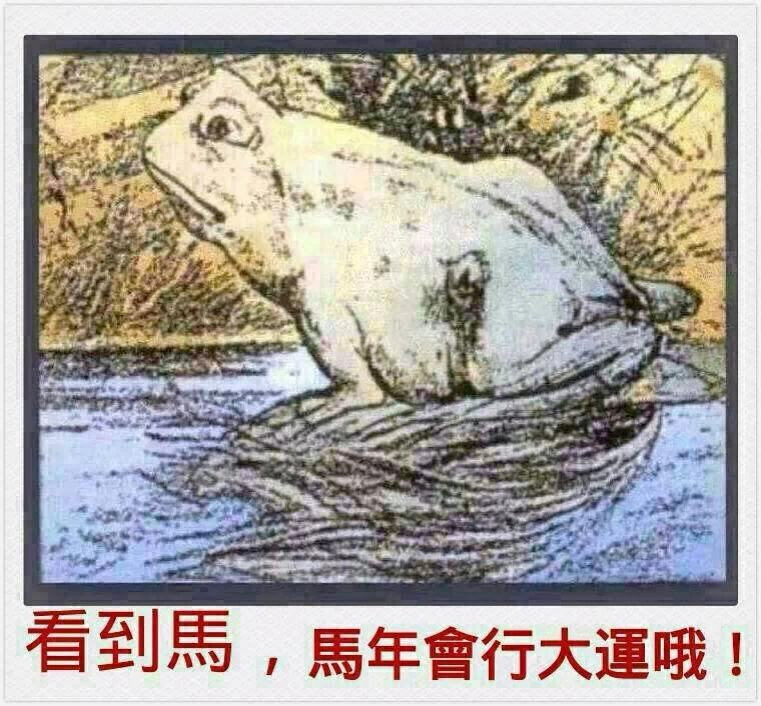 Sapo De Loma | NatureRules1 Wiki | Fandom