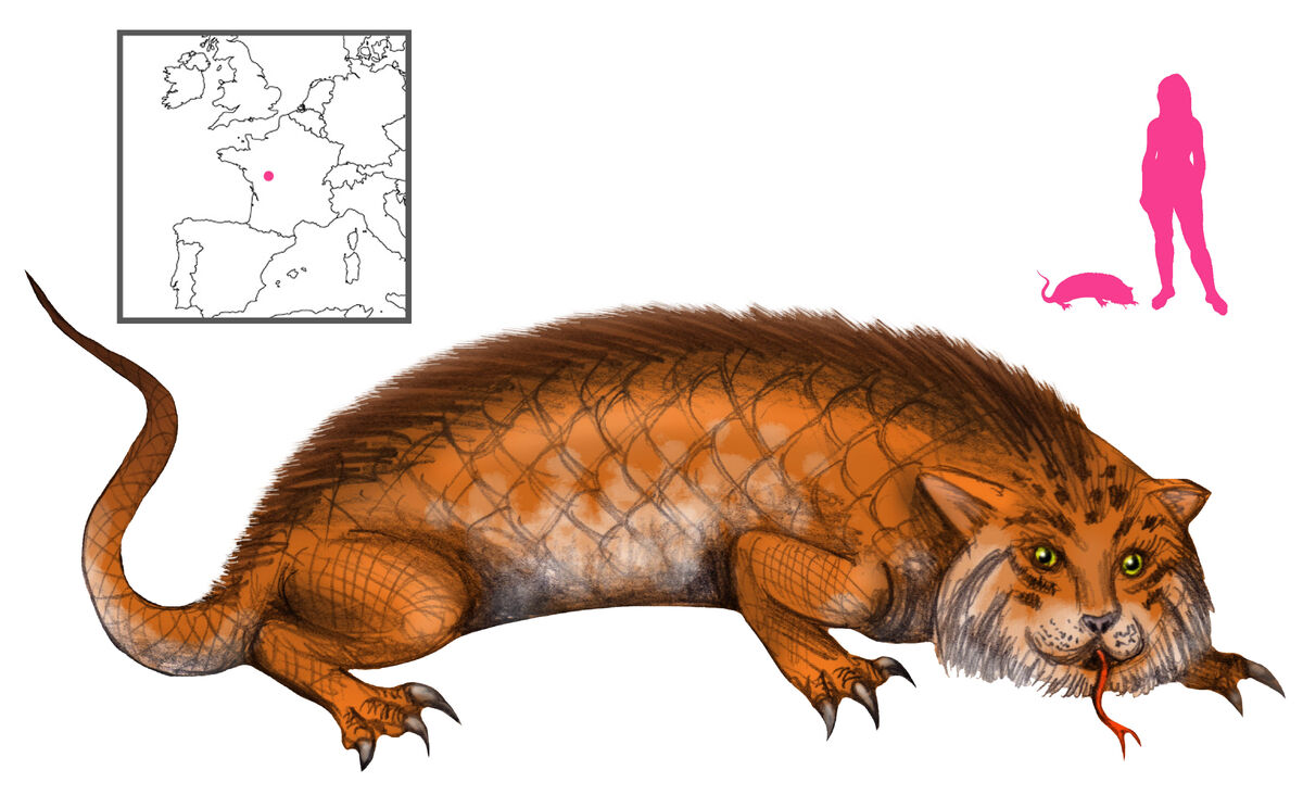 Dard | NatureRules1 Wiki | Fandom